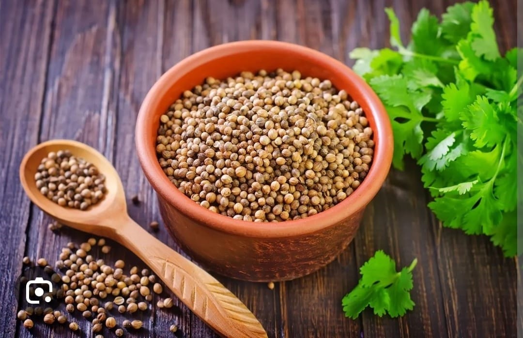 Coriander Seed