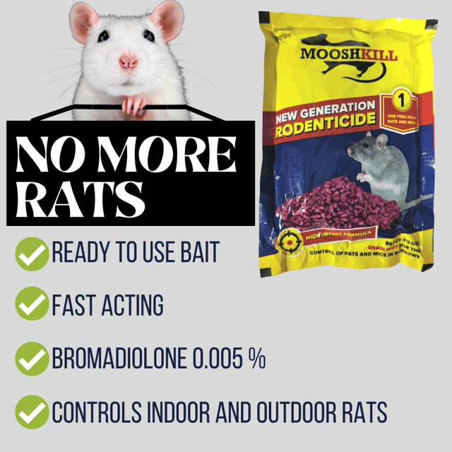 Rat Killer Granules & Cake | Ready to use bait for the control of Rats ...