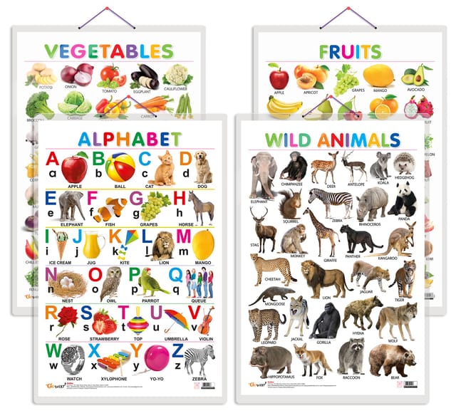 Set of 4 Alphabet, Fruits, Vegetable and Wild Animals Early Learning ...