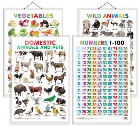 Domestic Animals Chart
