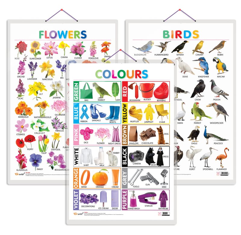 Set of 3 Birds, Flowers and Colours Early Learning Educational Charts ...