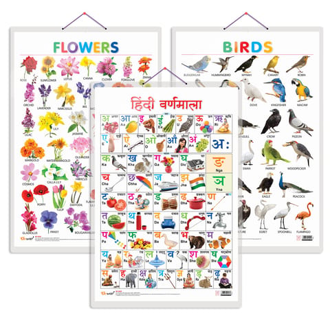 Set of 3 Birds, Flowers and Hindi Varnamala Early Learning Educational ...