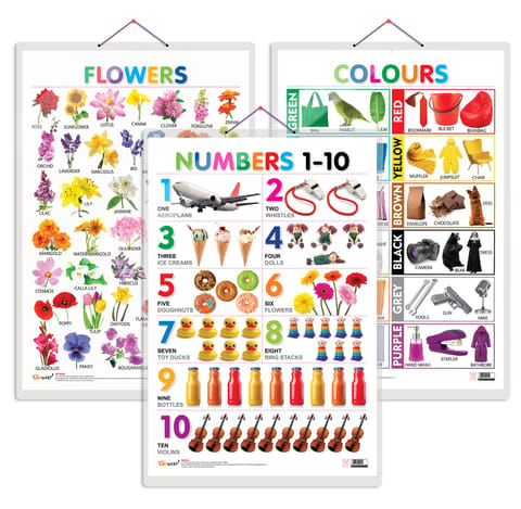 Set of 3 Flowers, Colours and Numbers 1-10 Early Learning Educational ...