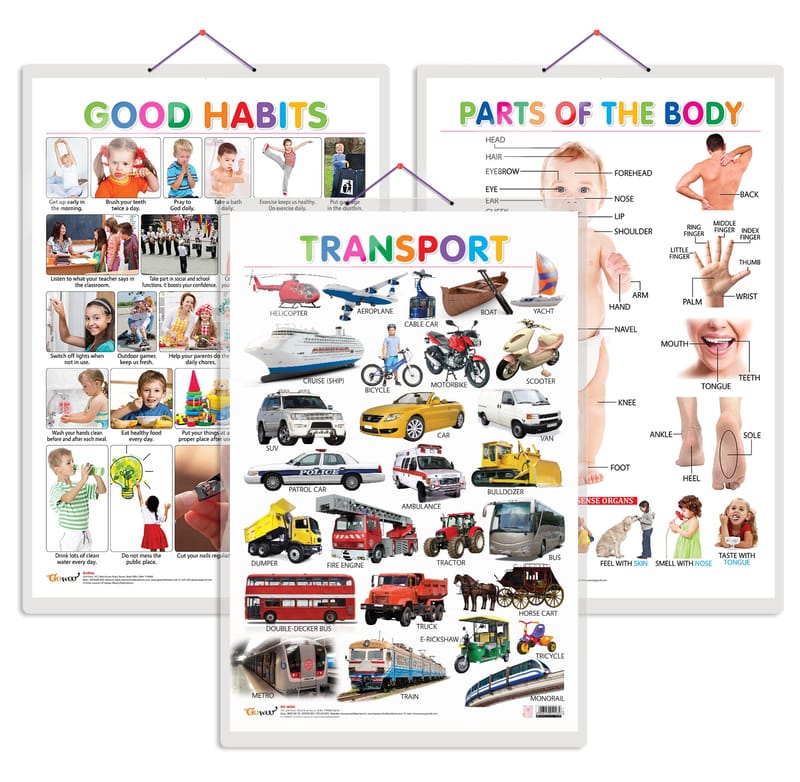 Set of 3 Parts of the Body, Good Habits and Transport Chart for Kids ...