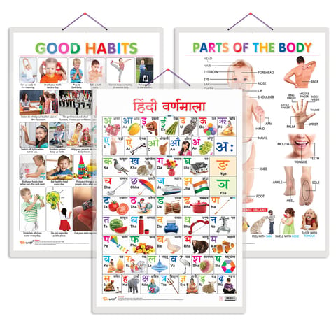 Set of 3 Parts of the Body, Good Habits and Hindi Varnamala Early ...