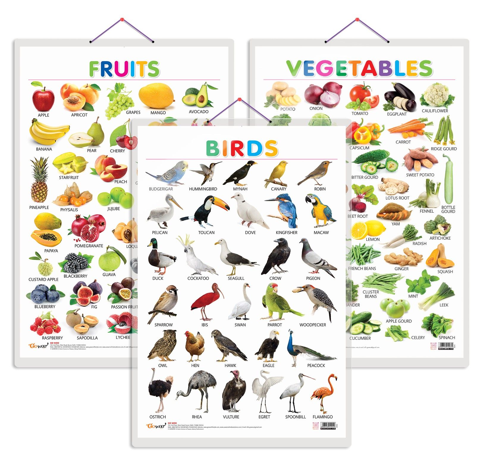 Set of 3 Fruits, Vegetables and Birds Early Learning Educational Charts ...