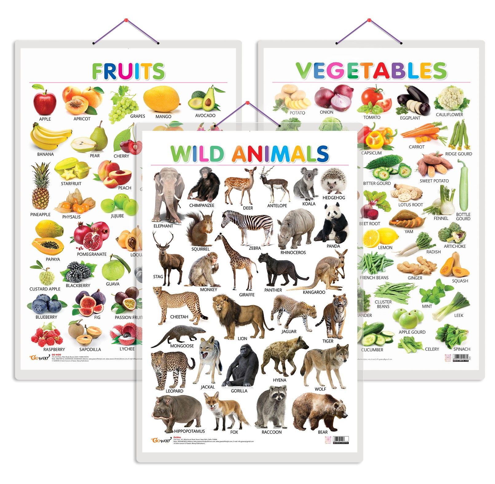 Set of 3 Fruits, Vegetables and Wild Animals Early Learning Educational ...