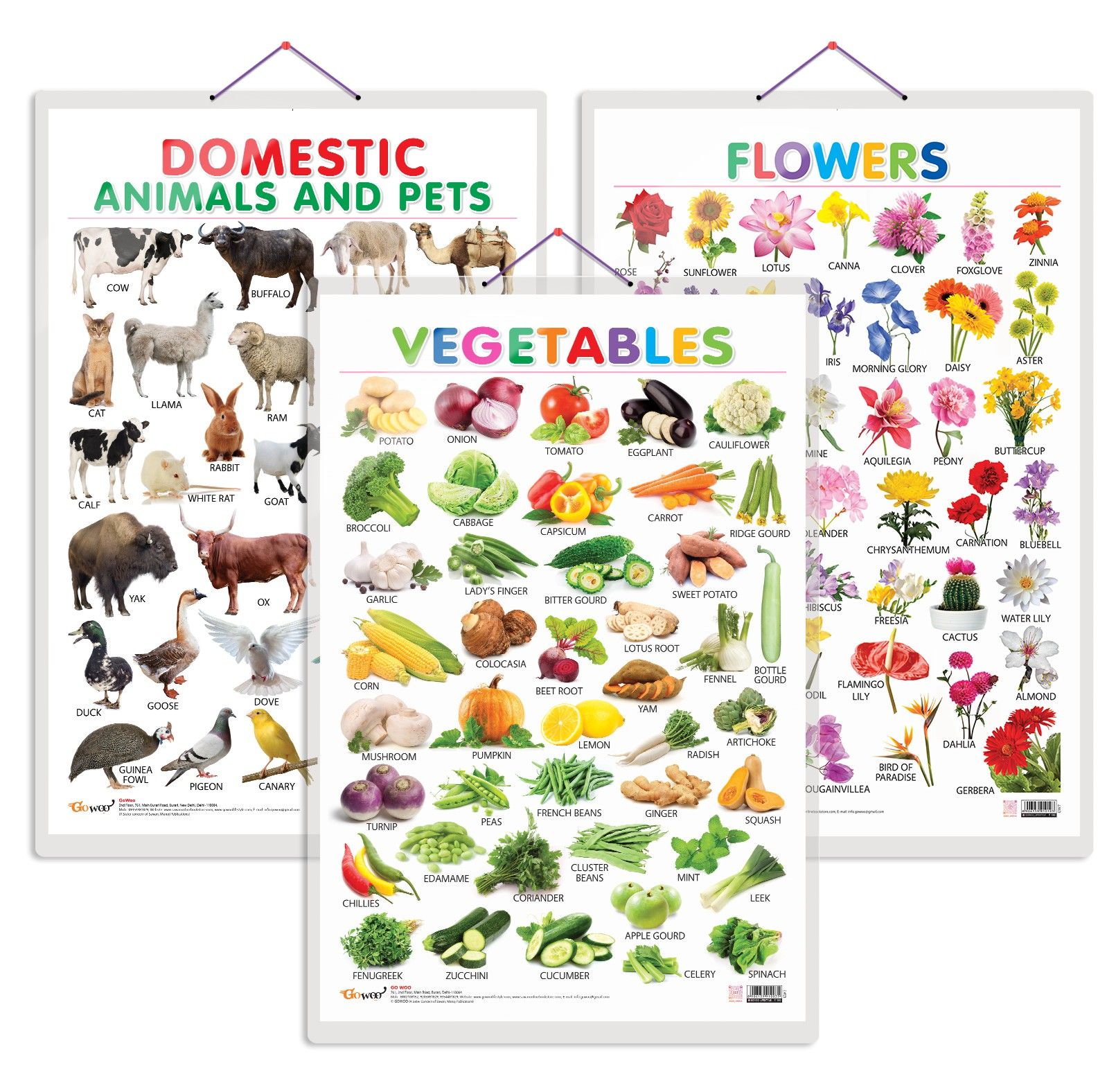 Set of 3 Vegetables, Domestic Animals and Pets and Flowers Early ...