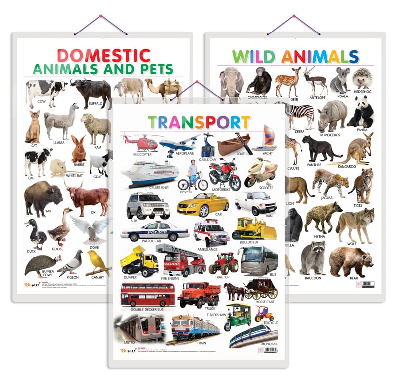 Set of 3 Domestic Animals and Pets, Wild Animals and Transport Early ...