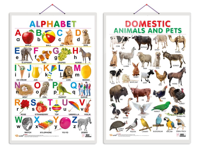 Set of 2 (Alphabet and (Domestic Animals and Pets) Early Learning ...