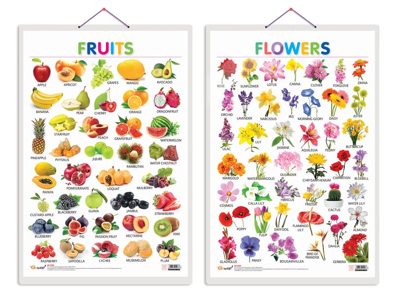 Set of 2 Fruits and Flowers Early Learning Educational Charts for Kids ...