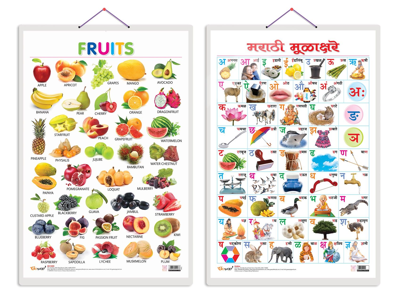 Set of 2 Fruits and Marathi Varnamala?(Marathi) Early Learning ...