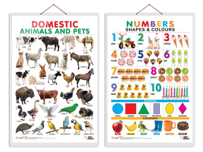 Set of 2 Domestic Animals and Pets and Numbers, Shapes & Colours Early ...