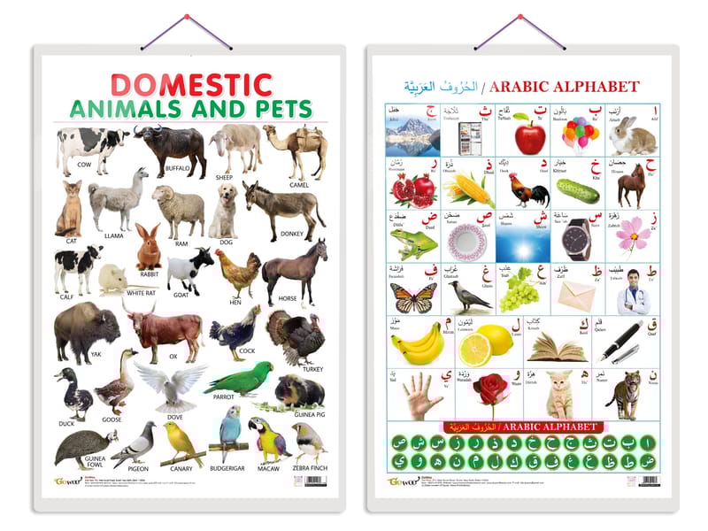 Set of 2 Domestic Animals and Pets and Arabic Alphabet?(Arabic) Early ...