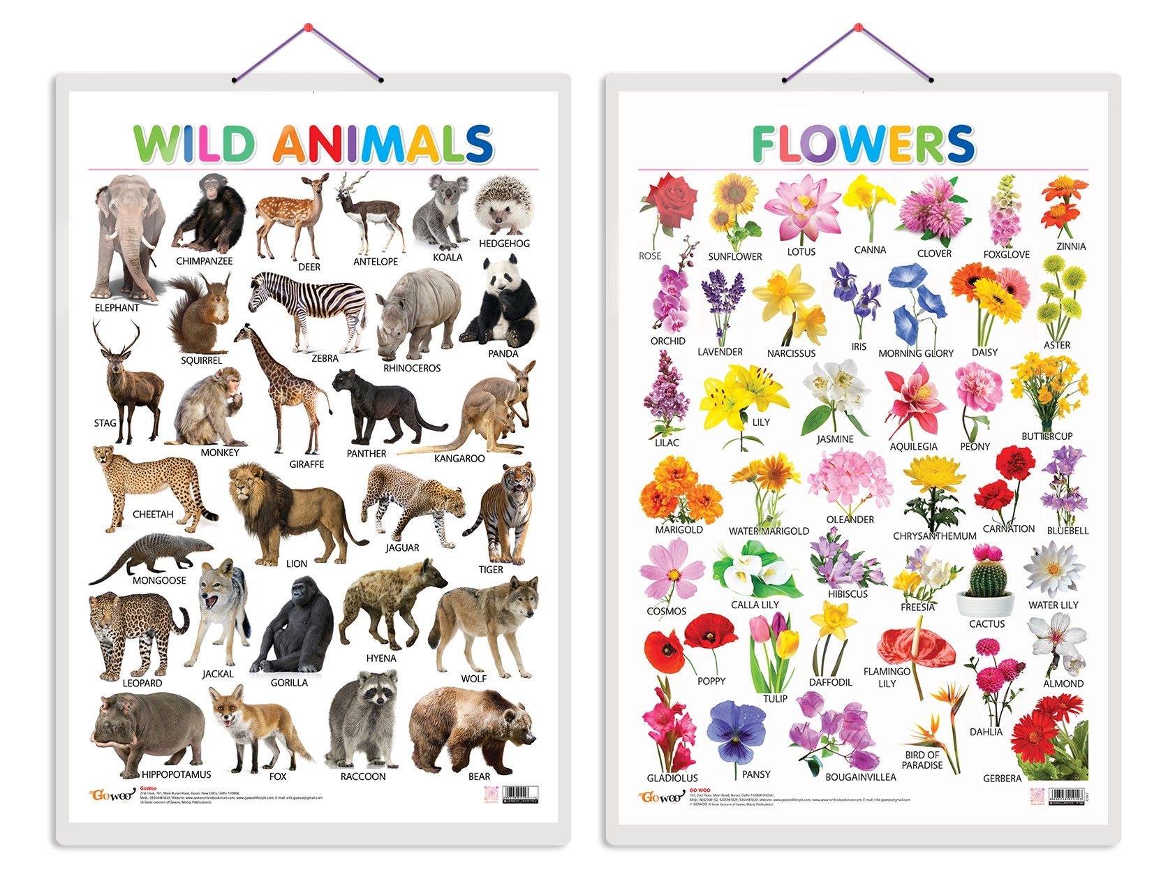 Set of 2 Wild Animals and Flowers Early Learning Educational Charts for ...