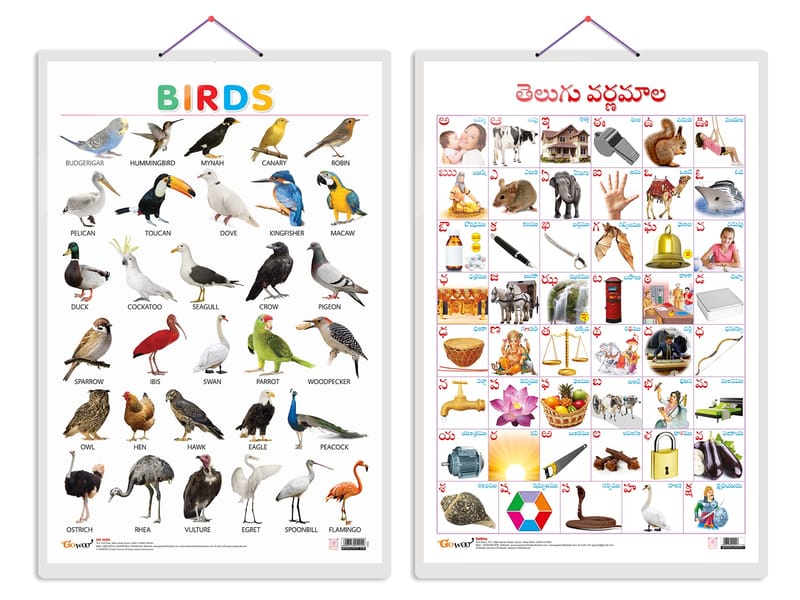 Set of 2 Birds and Telugu Alphabet?(Telugu) Early Learning Educational ...