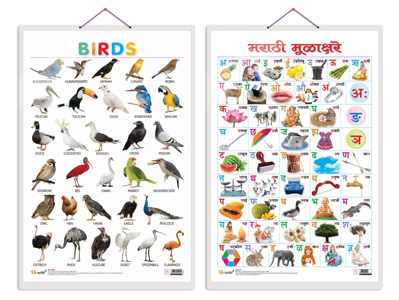 Set of 2 Birds and Marathi Varnamala?(Marathi) Early Learning ...