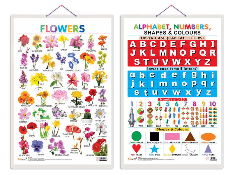 Set of 2 Flowers and Alphabet, Numbers, Shapes & Colours Early Learning ...