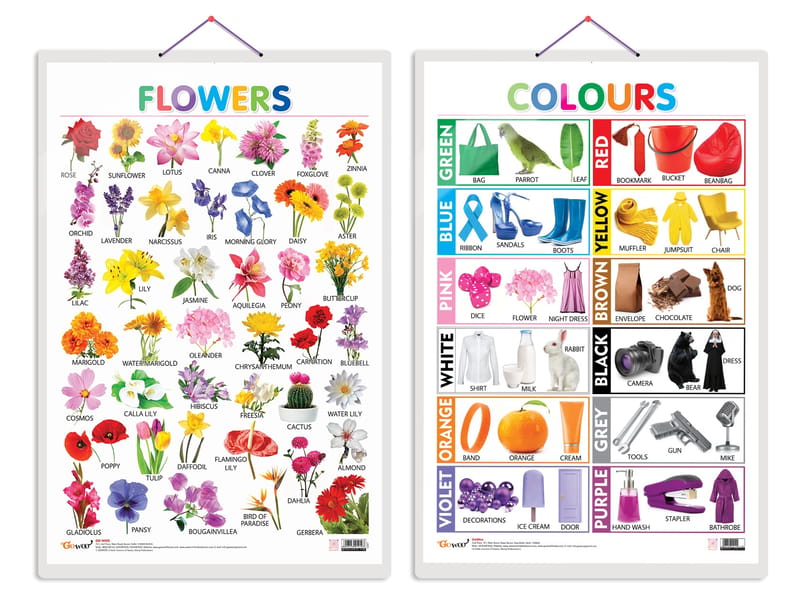 Set of 2 Flowers and Colours Early Learning Educational Charts for Kids ...