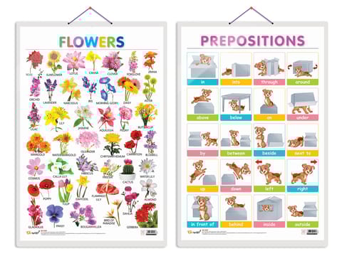 Set of 2 Flowers and PREPOSITIONS Early Learning Educational Charts for ...