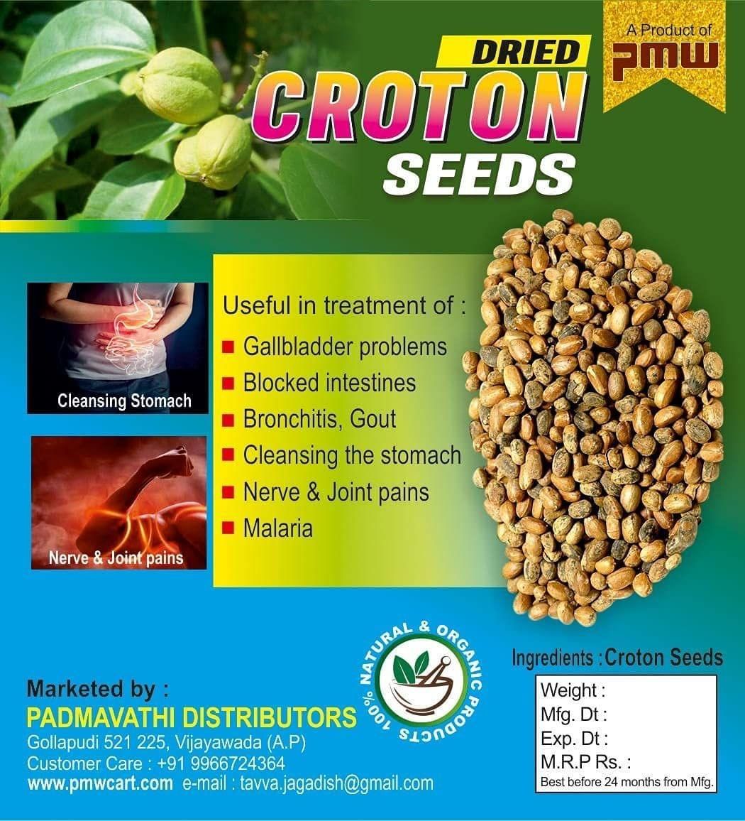 Croton Seeds
