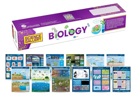 Science Gallery - Biology Charts (Set of 12 Charts - 18" x 25")