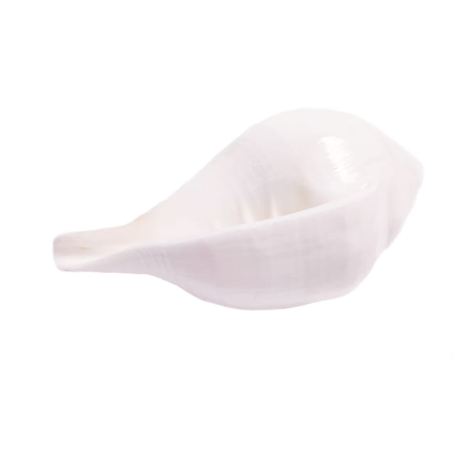 MAYAPURI Natural Puja Shankha/Jal Sankha | White Conch Shells with ...