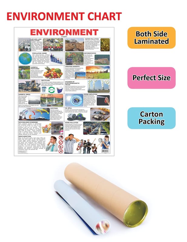 Environment Educational Wall Chart For Kids - Both Side Hard Laminated ...