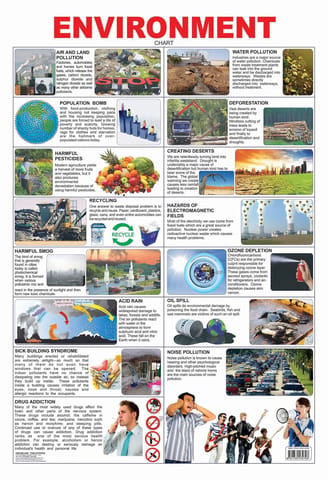 Environment Educational Wall Chart For Kids - Both Side Hard Laminated ...