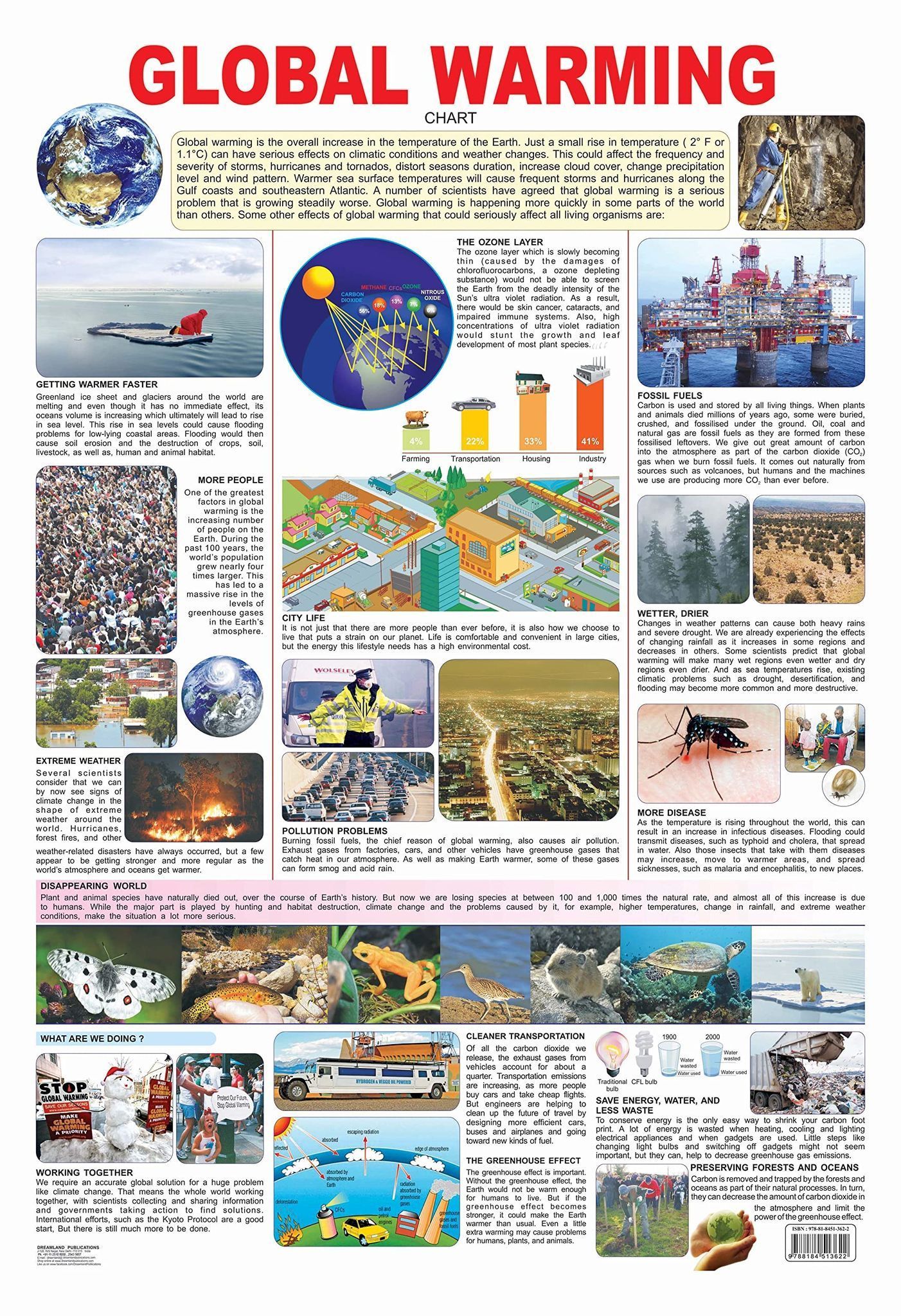 Global Warming Educational Wall Chart For Kids - Both Side Hard ...
