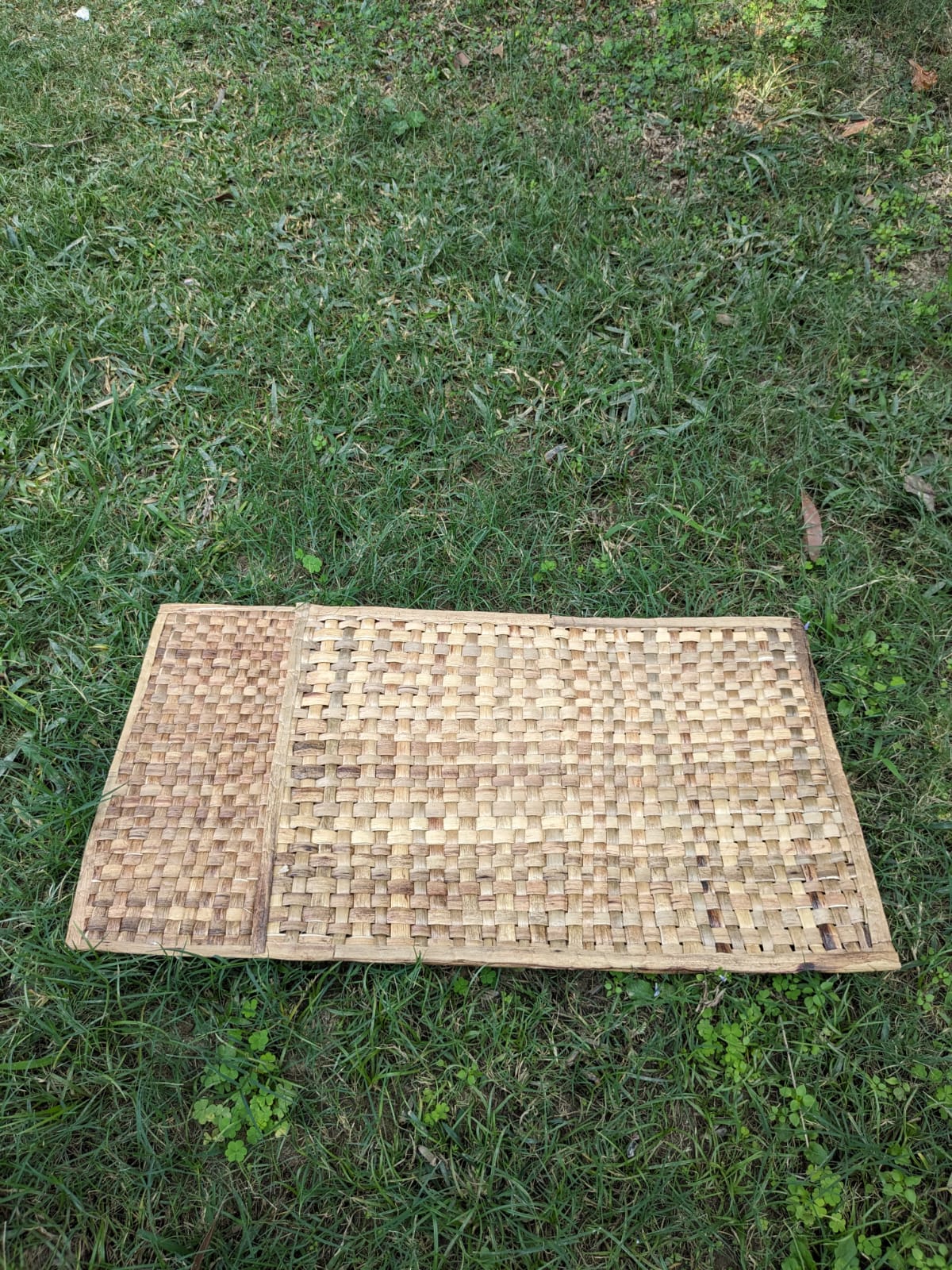 Water hyacinth Table mats