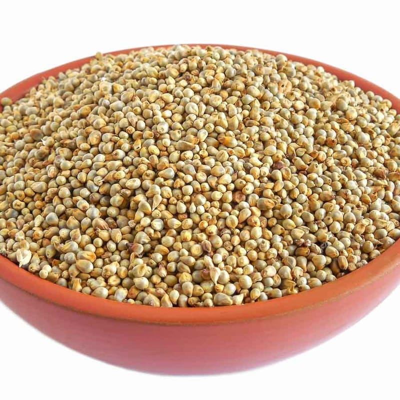 Fresh Bajra Pearl Millet (Sajje) (1 kg)