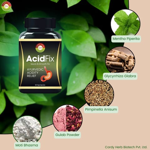 CORDY Herb AcidFix Herbal Capsules, Natural & Safe Ayurvedic Antacid ...