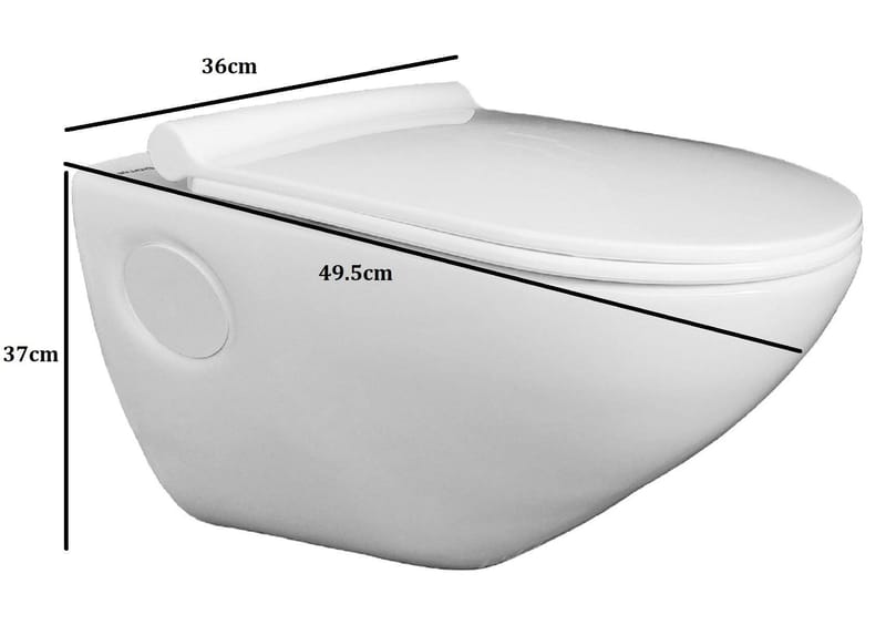 Belmonte Combo of Wall Mounted/Wall Hung Western Toilet/Commode/EWC ...