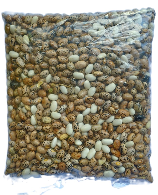 RAJMA SMALL (KIDNEY BEANS)