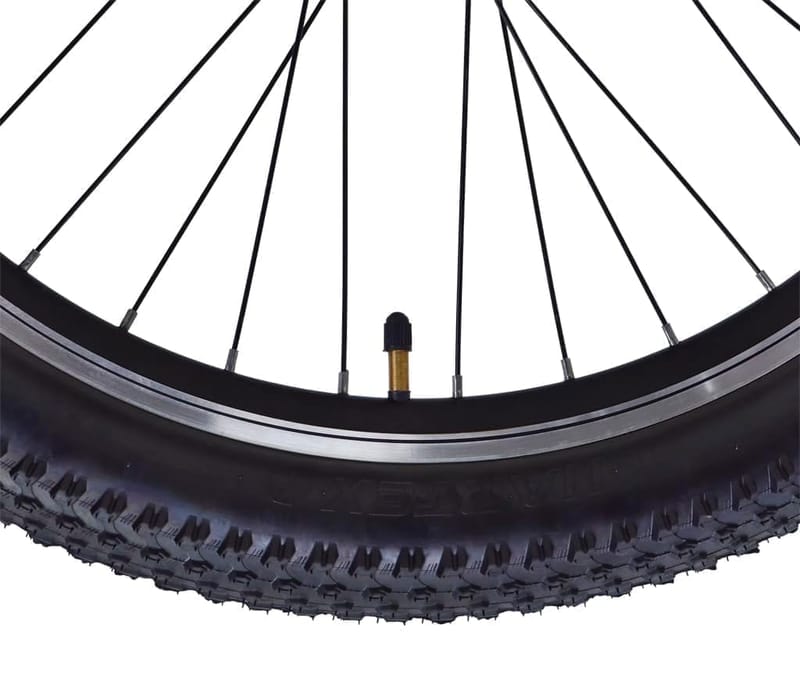 FIREFOX Tremor X 24 V Mountain Cycle (Single Speed, Red) | Ideal for ...