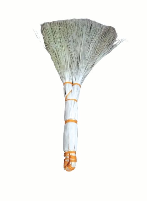 Jhadu Logo Phool Jhadu (Plastic Handle)