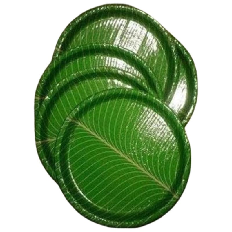 Green Buffet paper plates | Disposable and Eco-Friendly | 14 Inches ...