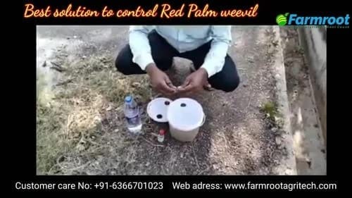 Farmroot Insect Bucket Traps for Red Palm Weevil Without Pheromone ...