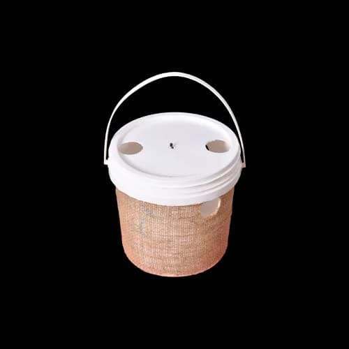 Farmroot Insect Bucket Traps for Red Palm Weevil Without Pheromone ...