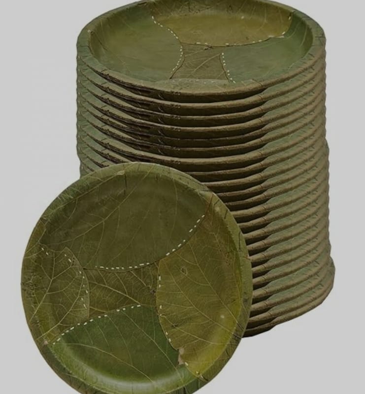 25 Pack of 9 Inch Green Leaf Shaped Plates - Compostable and ...