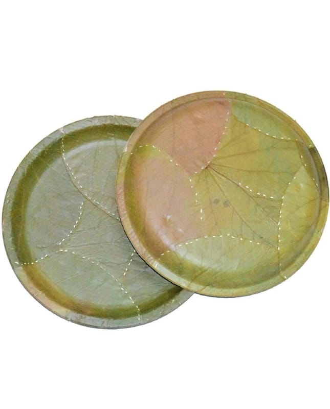 25 Pack of 9 Inch Green Leaf Shaped Plates - Compostable and ...