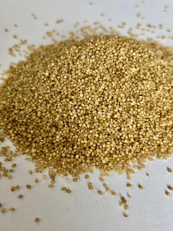 Kutki (Little) Millet Rice