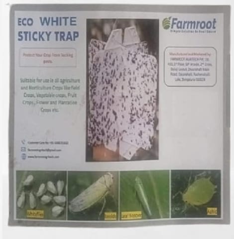 FARMROOT White Sticky Trap for Insect at Farm & Gardens to Control ...
