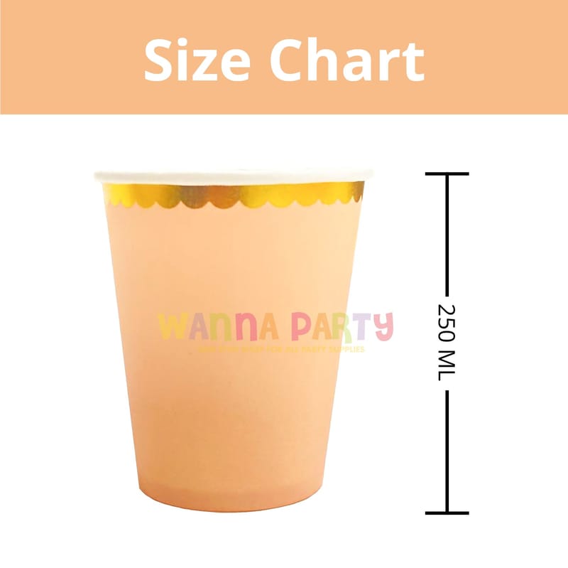 Wanna Party Rose Gold PaPer CuPs with Gold Rim 250ML - 10 PC