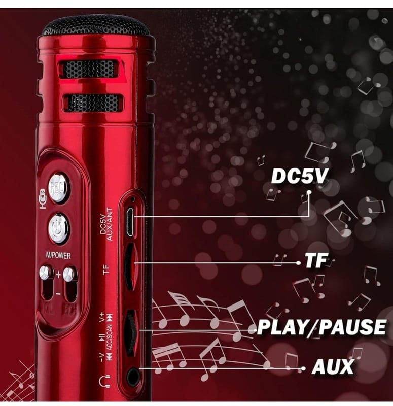 Plastic Handheld MultiFunction Mic With Microphone Speaker (Black) PID50367