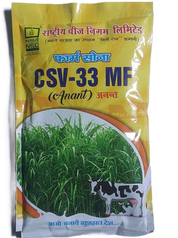 Farm Sona CSV-33 MF (Anant) - High Yielding Fodder Maize Seeds