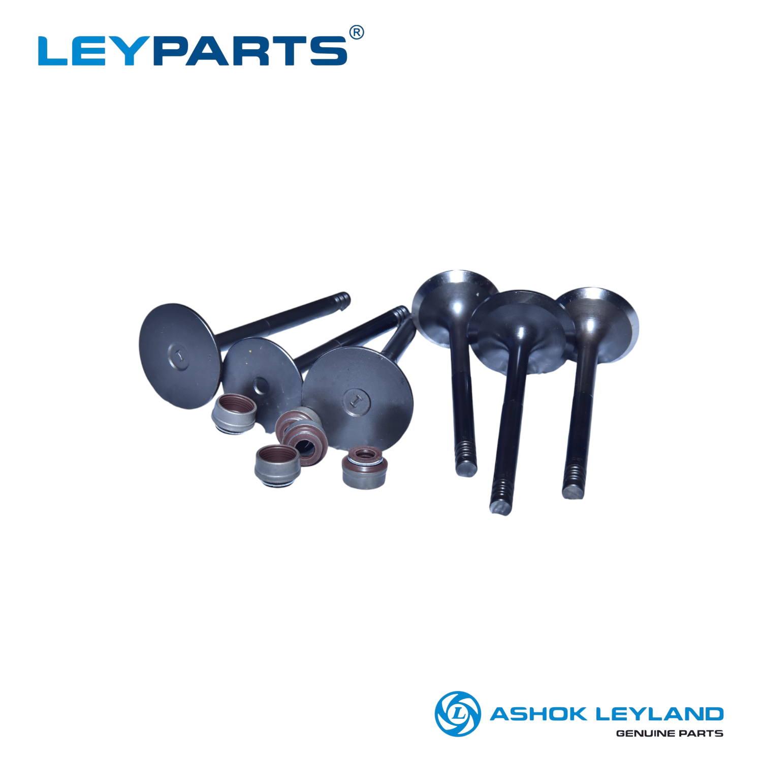 COMP VALVE KIT P5106054 - Dost variant and Bada Dost