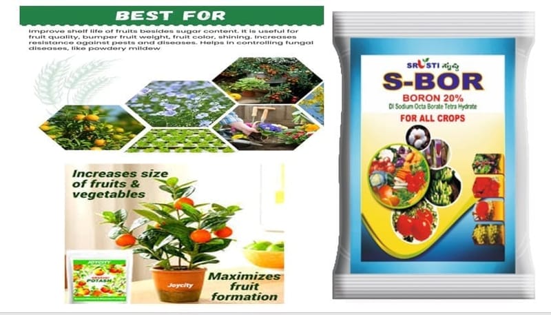 S-BOR 20% Boron 2KG (PACK OF 1*2KG)