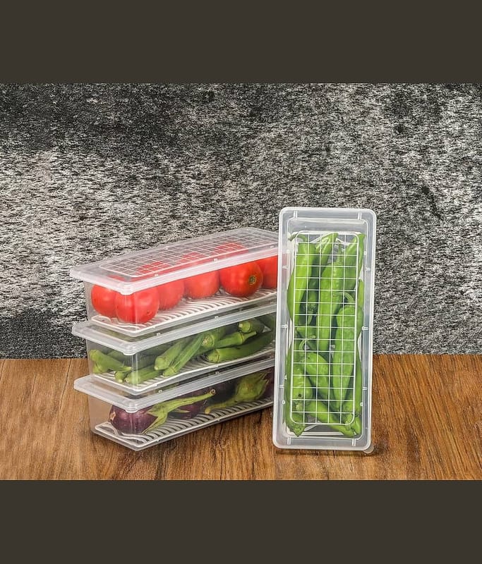 BRANZY Fridge Containers Plastic Transparent Food Container ( Set of 4 )